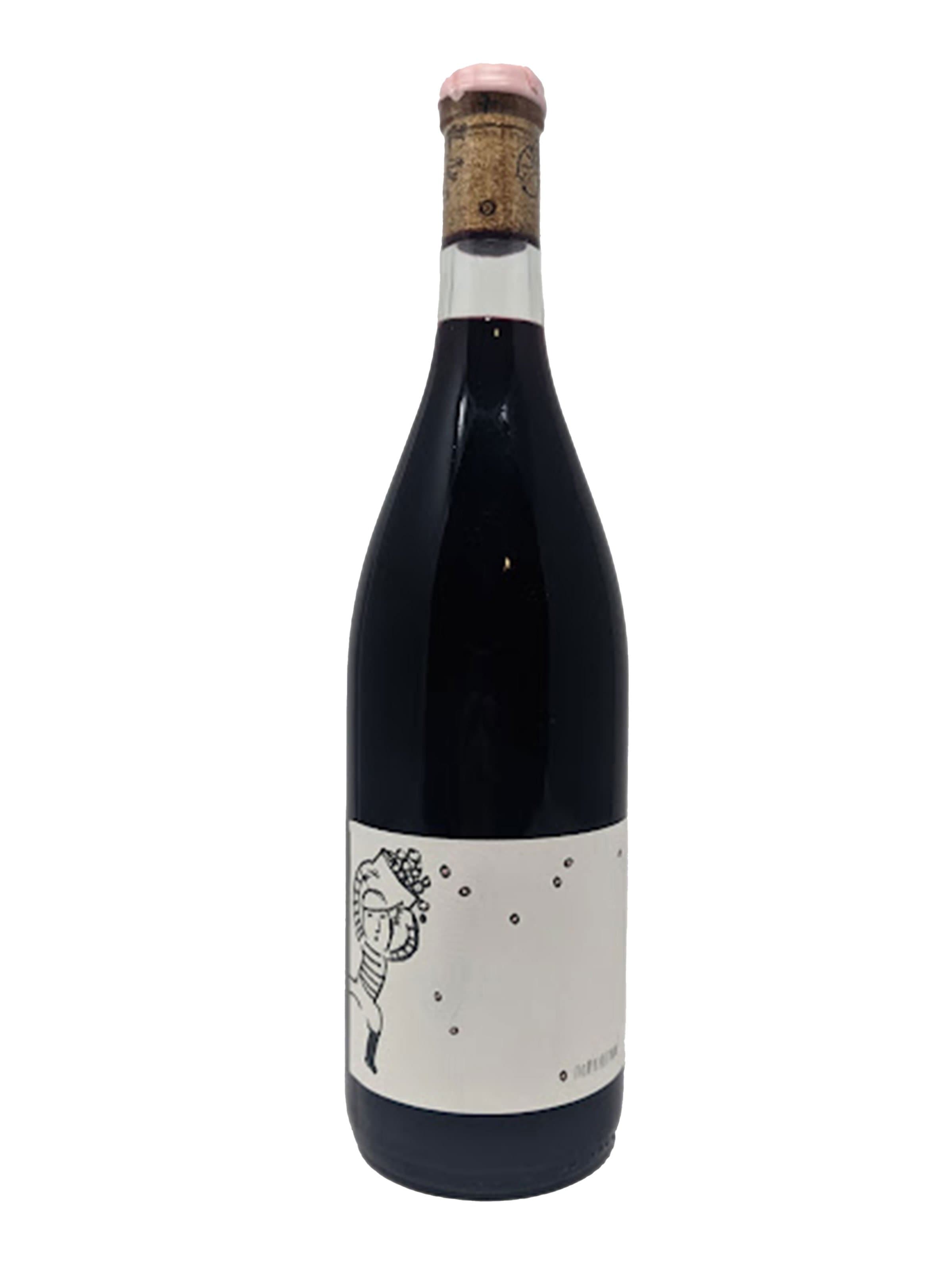 Marquette 2021 - Vin rouge du Vignoble Fragments